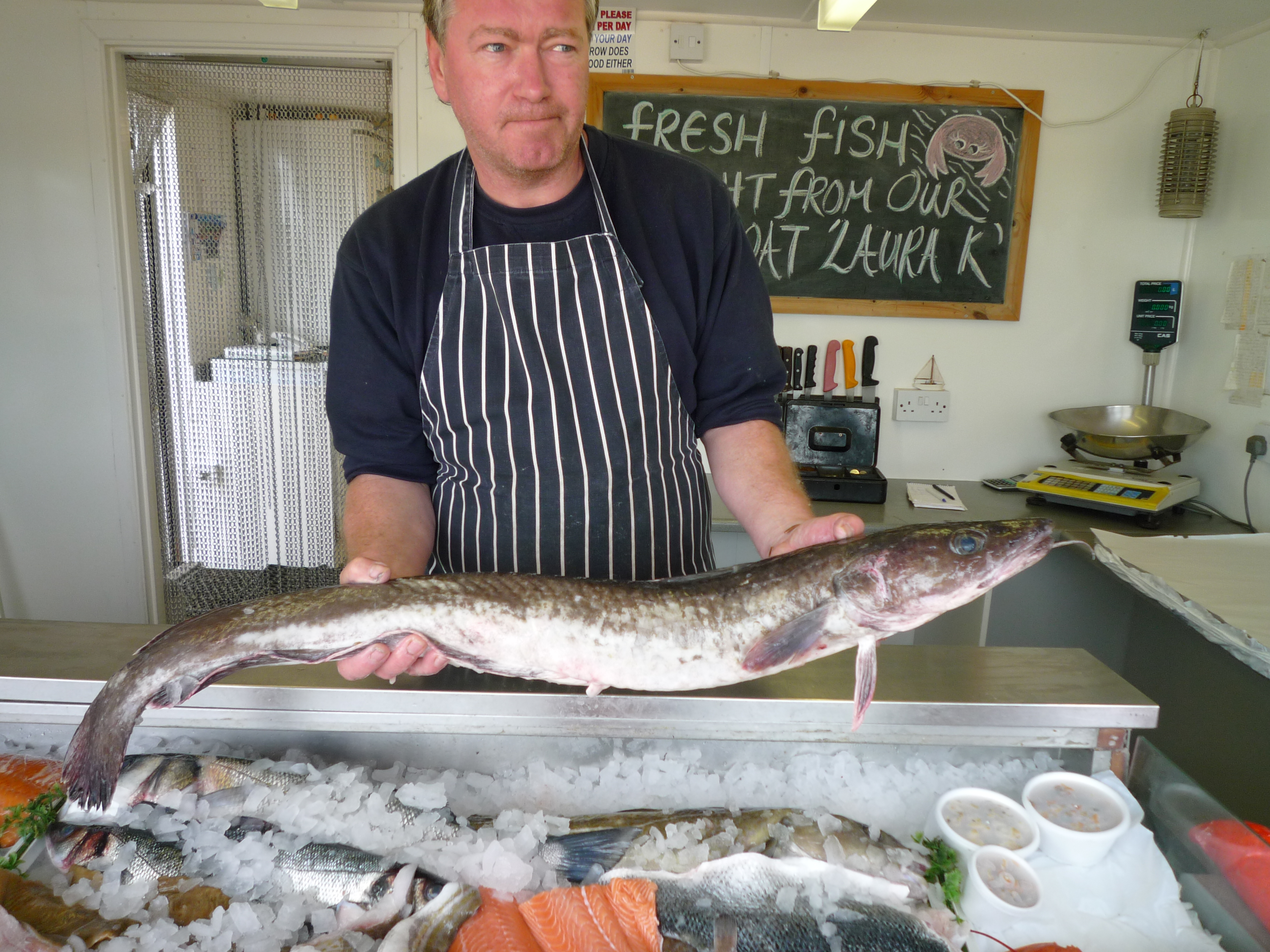 Weird fish | The Rhubarb Fool