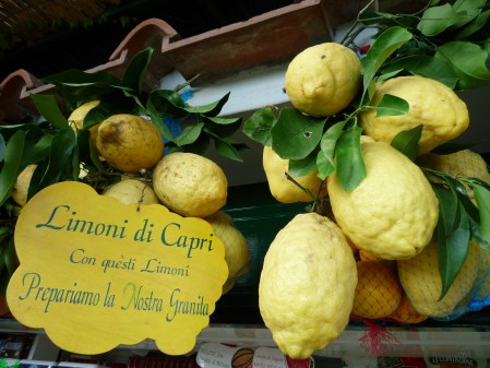 Capri lemons, Vesuvius lemons, Sorrento lemons | The Rhubarb Fool